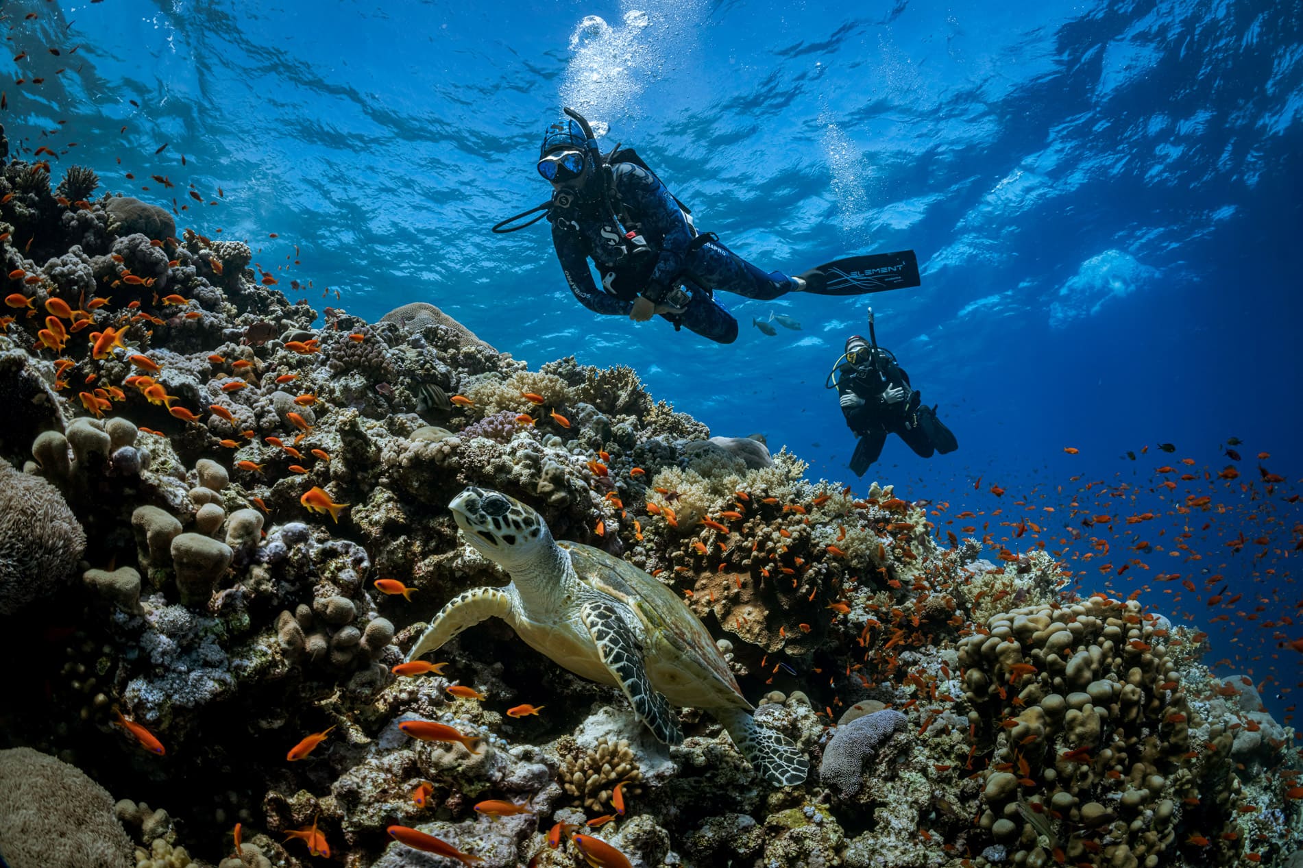 PADI Peak Performance Buoyancy - Kalpitiya Diving Center