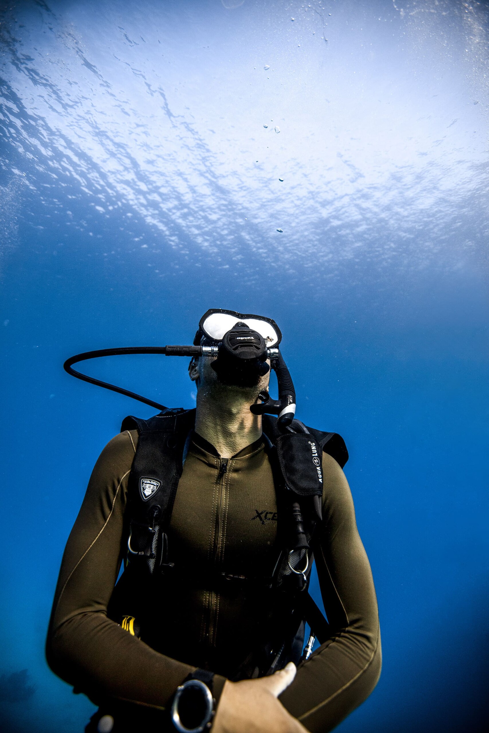 PADI Divemaster - Kalpitiya Diving Center