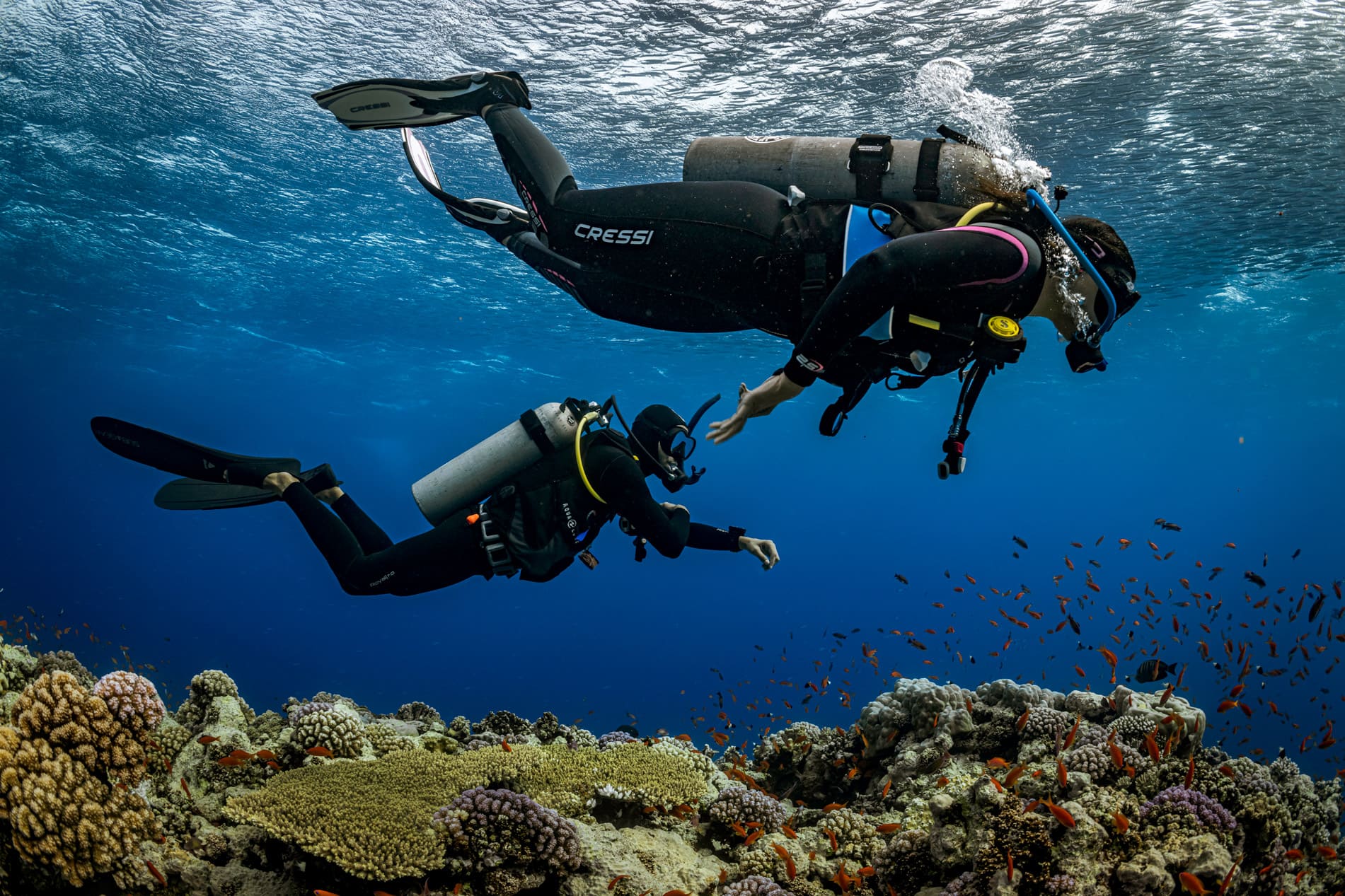 Search and Recovery Diver - Kalpitiya Diving Center